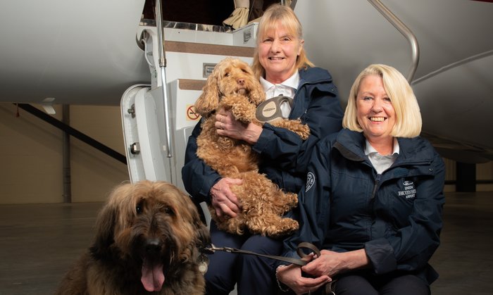 London Biggin Hill Airport celebrates pets on jets for 15 years ...