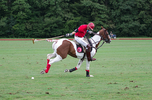 Desert Jet is the official private jet company for the 2022 Polo ...